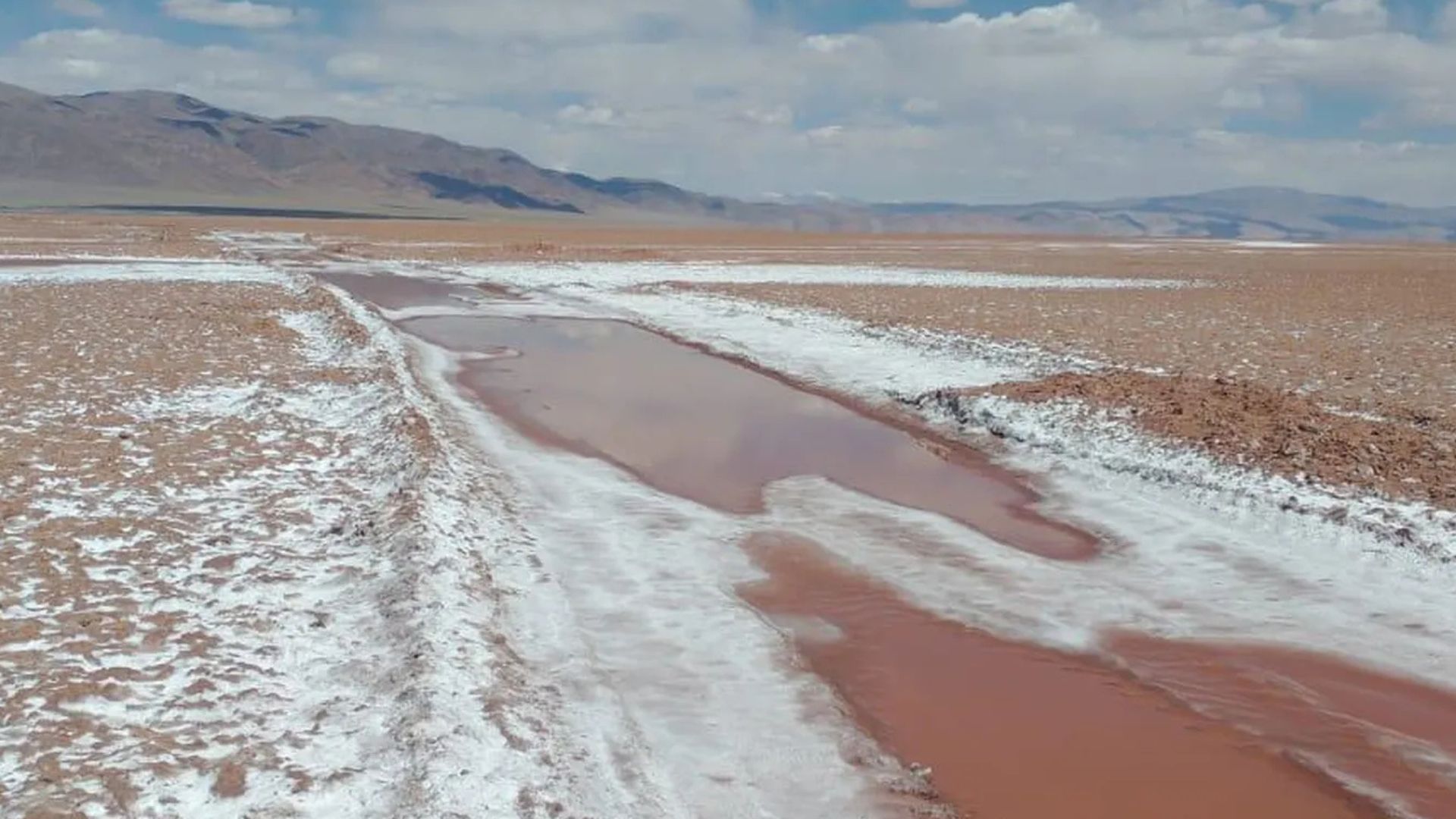 Gigante canadiense expande mega proyecto de litio en Salta a 13.880 ...